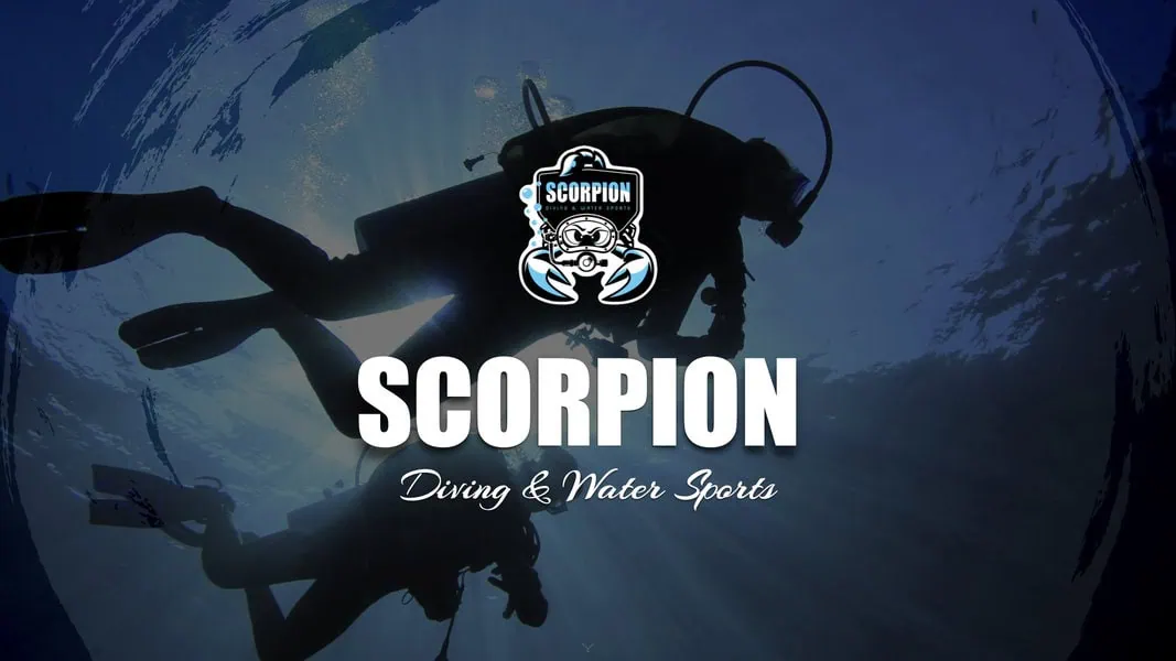 Scorpion Dive | Best Diving Center in Sharm El Sheikh